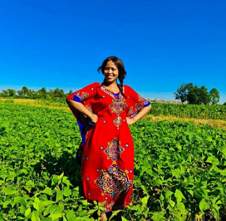 Boksburg farmer warns experience is essential — Vutivi