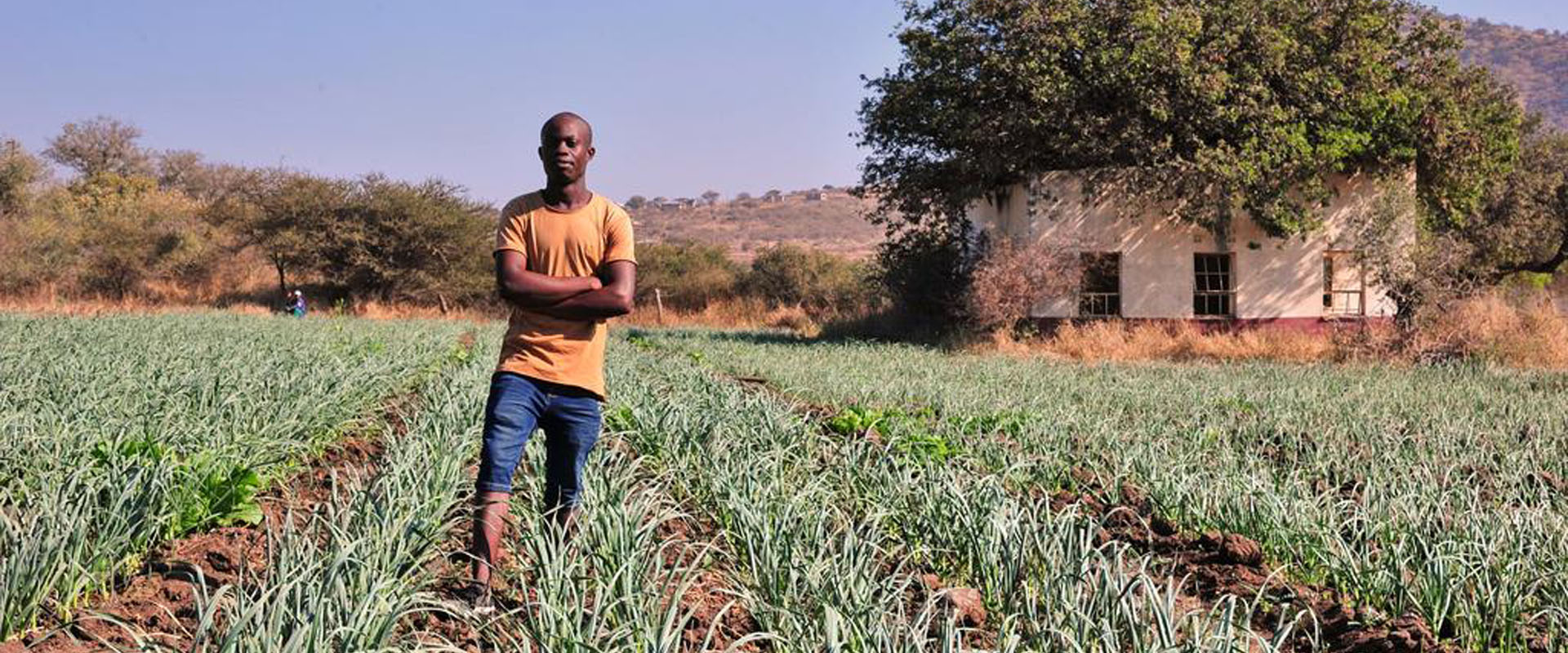 A young farmer makes inroads in garlic market — Vutivi