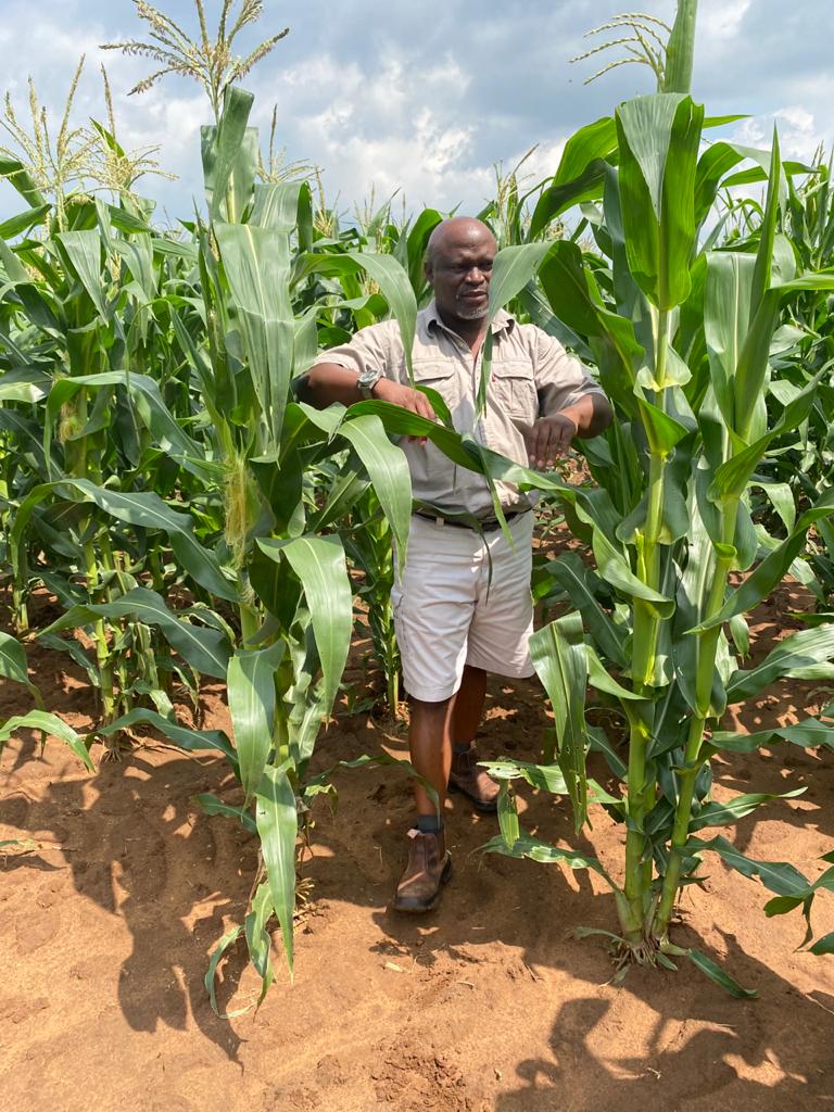 Farming is not for everyone: Sebata Maize owner — Vutivi