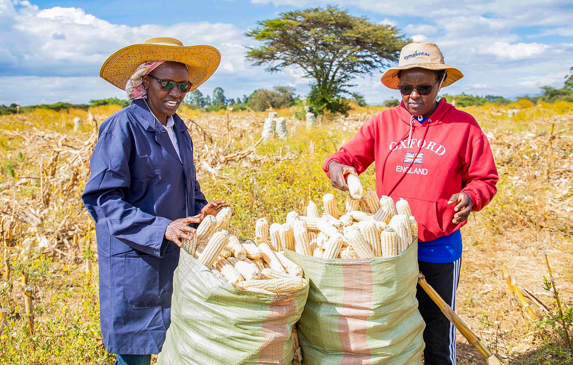 Study punts new approach to support young farmers — Vutivi