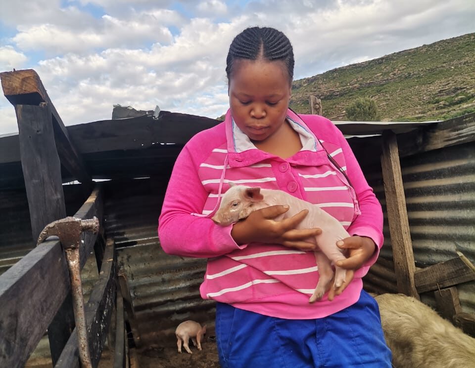 Piggery owner urges youngsters to become farmers — Vutivi